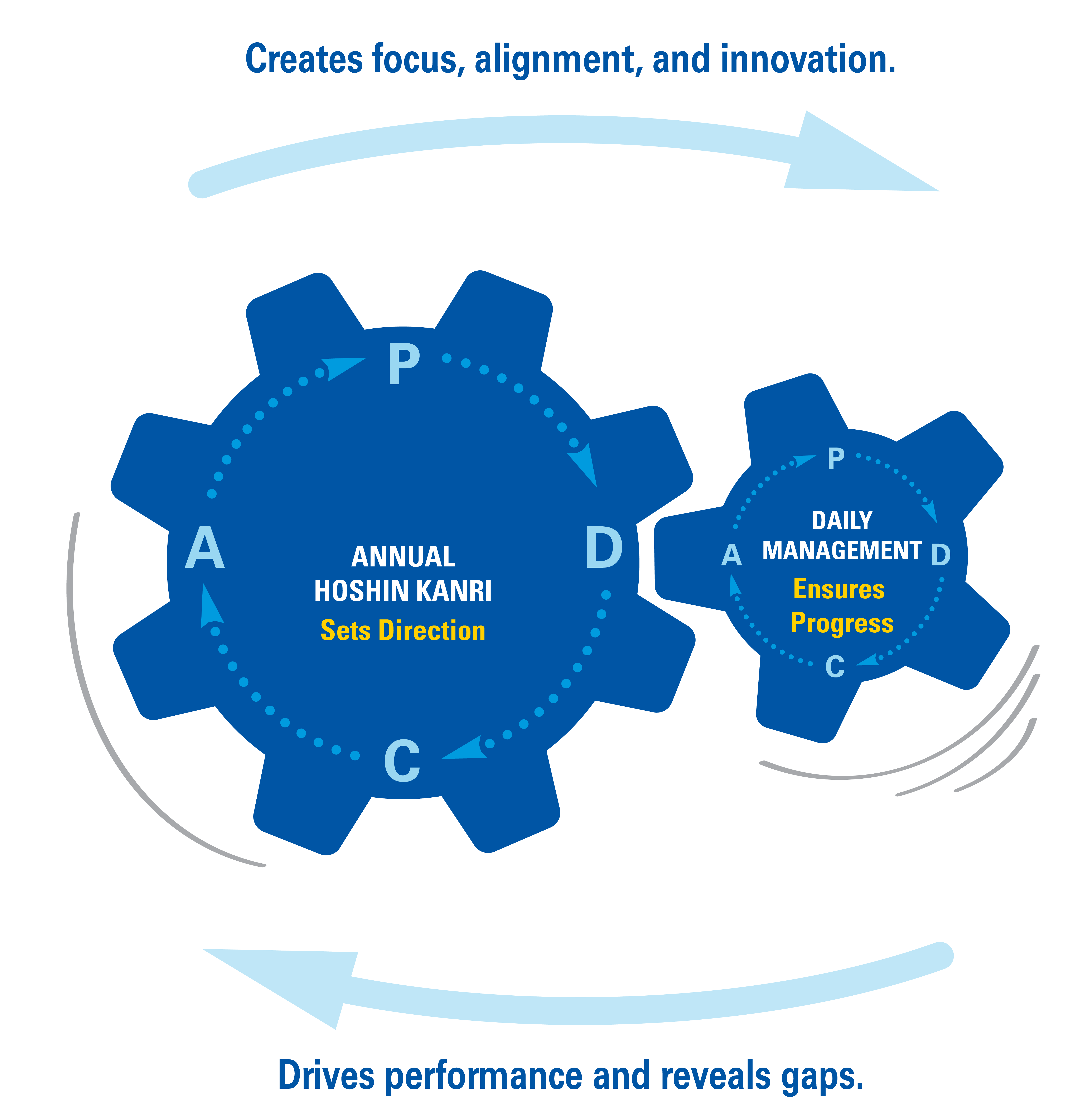 The Lean Management Program